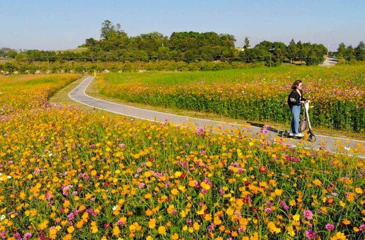 Singha Park Chiang Rai Guide: Nature, Zipline, Animals & Family Fun ...