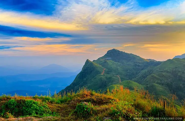 Doi Pha Tang: Sea of Mist Sunrise Viewpoint | Chiang Rai - Bon Voyage ...